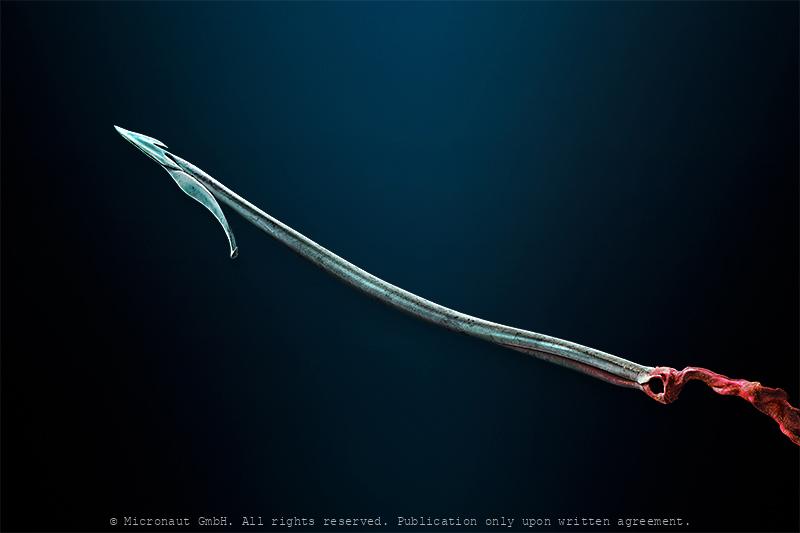 Lethal Weapons | Micronaut: The fine art of microscopy by science ...