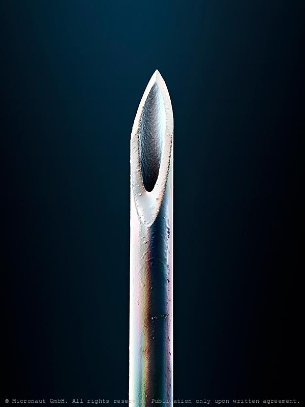 Science | Micronaut: The fine art of microscopy by science photographer ...