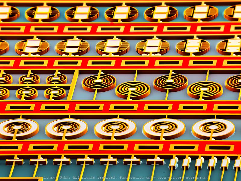 Vision | Micronaut: The fine art of microscopy by science photographer ...