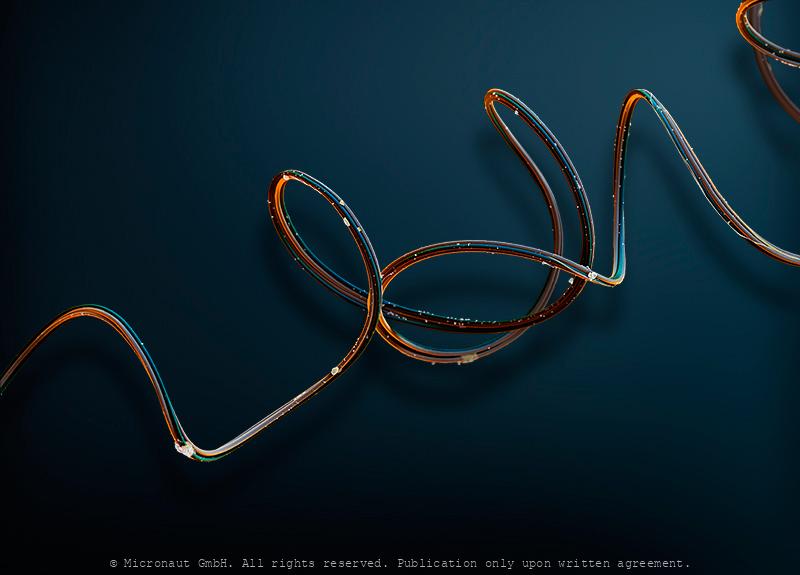 Microcosm I (animals) | Micronaut: The fine art of microscopy by ...