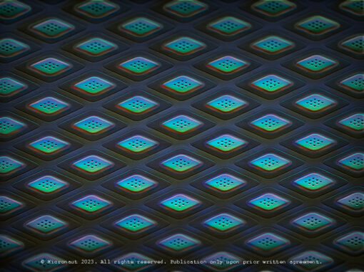 High-Density Microelectrode Array | Micronaut: The fine art of ...