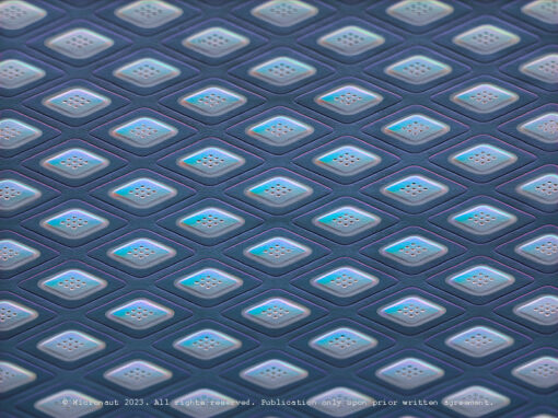 High Density Microelectrode Array Micronaut The Fine Art Of