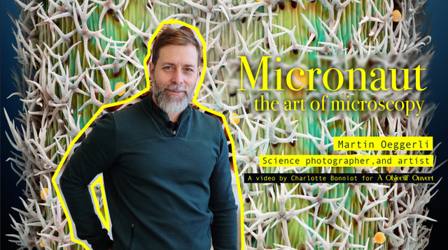 Thumbnail copie | Micronaut: The fine art of microscopy by science photographer Martin Oeggerli