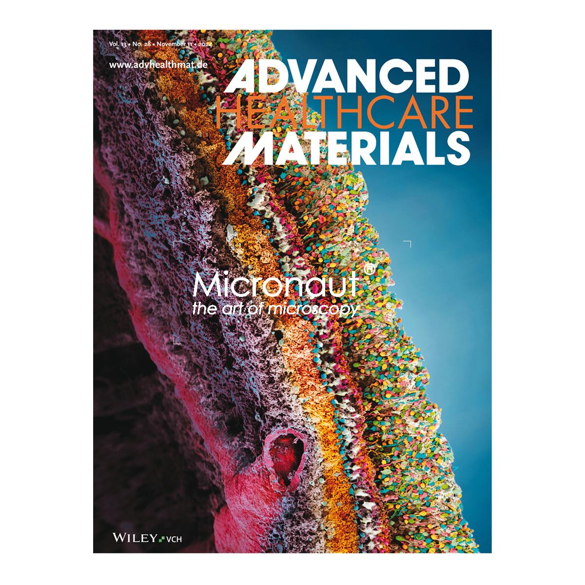 Journal Cover | Micronaut: The fine art of microscopy by science ...